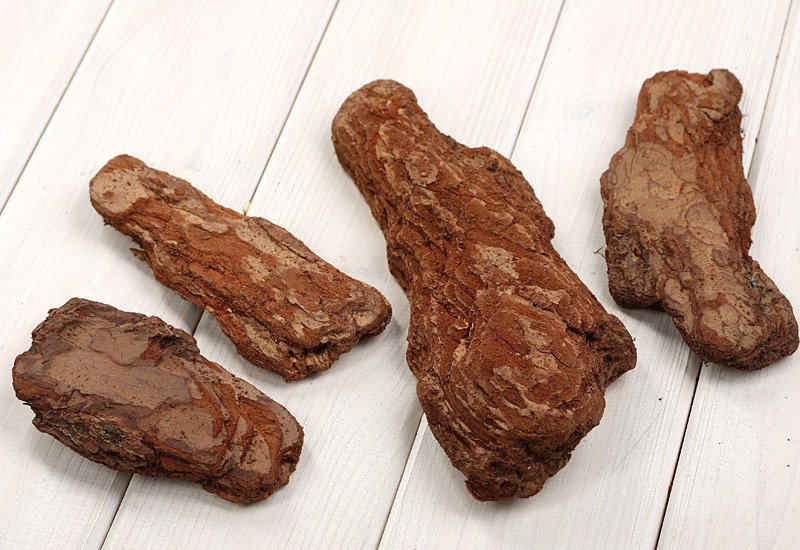 Polished Pine bark - 1 liter - 10-12 pieces | barks, fascine, fibers ...