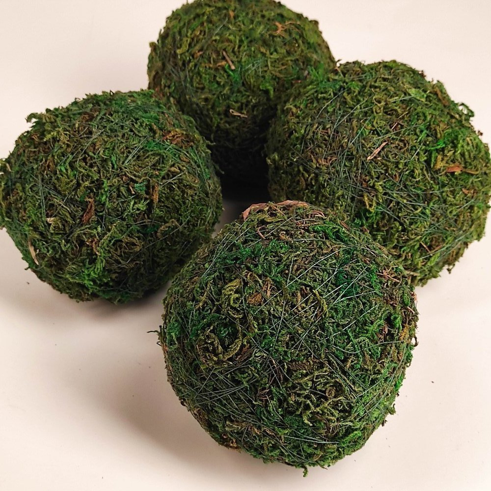 Moosball 9 cm - 4 Stück / Packung | Moose | Flechten | Pilzen ...