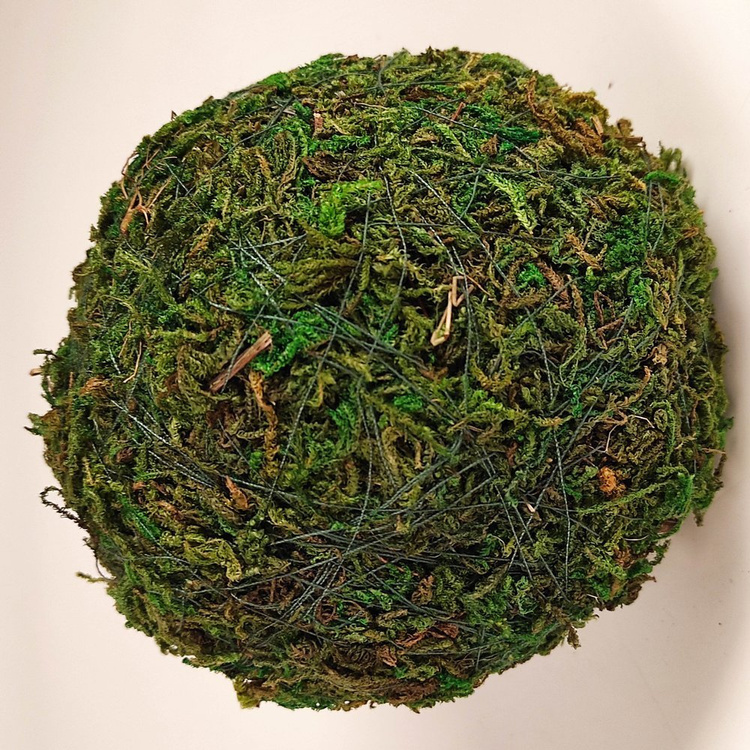 Moosball 9 cm - 4 Stück / Packung | Moose | Flechten | Pilzen ...